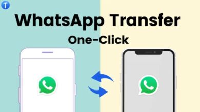 WhatsApp Transfer New Phone, Same Chats | SkyportSystems